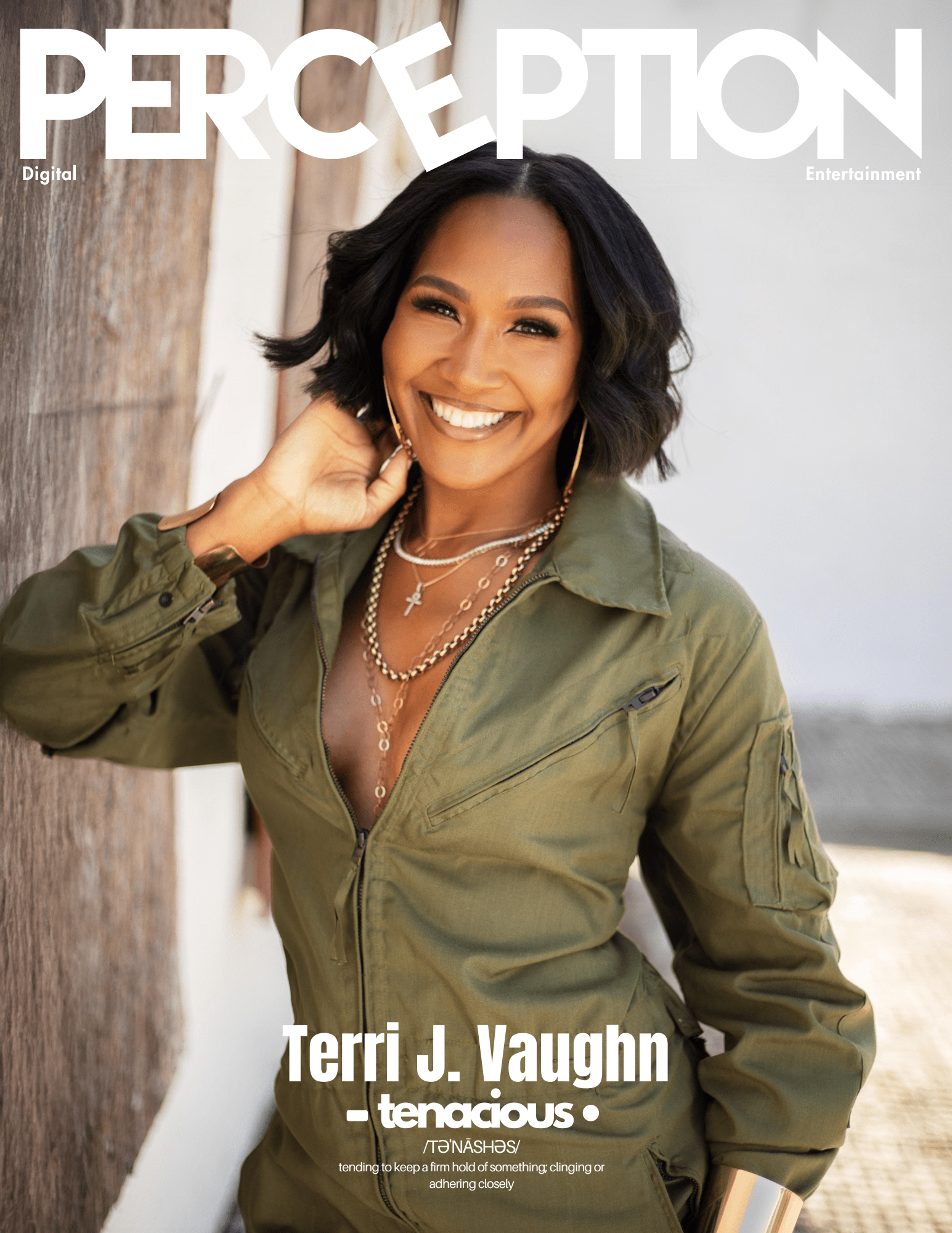 Terri J. Vaughn Is Taking Over: How Miss Governor and a 20-Year Dream ...
